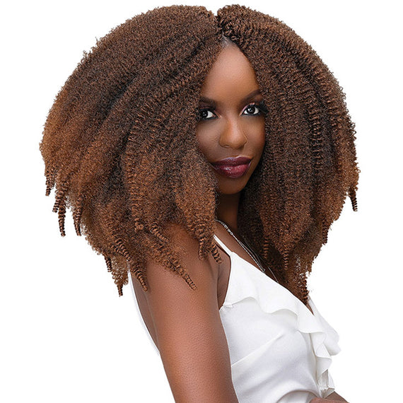 Braid Hair:Janet Collection Afro Style Braid :: WigTypes.com