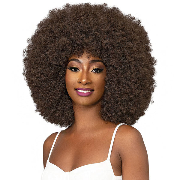 Janet Collection Natural Curly Synthetic Hair Wig - AFRO BADU ...