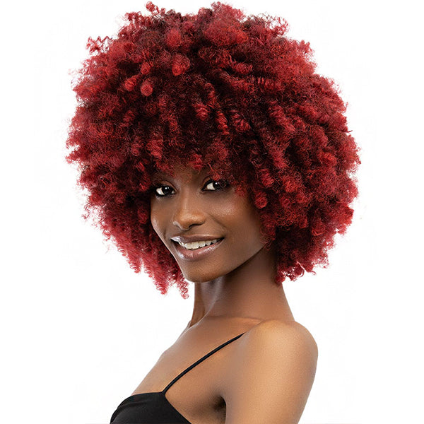 Janet Collection Natural Curly Synthetic Hair Wig - NATURAL AFRO KANE ...