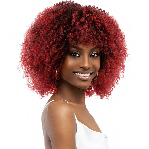 Janet Collection Natural Curly Synthetic Hair Wig - NATURAL AFRO LEON ...