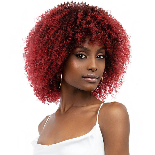 Janet Collection Natural Curly Synthetic Hair Wig - NATURAL AFRO LEON ...
