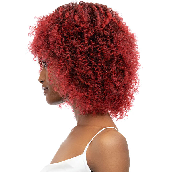 Janet Collection Natural Curly Synthetic Hair Wig - NATURAL AFRO LEON ...