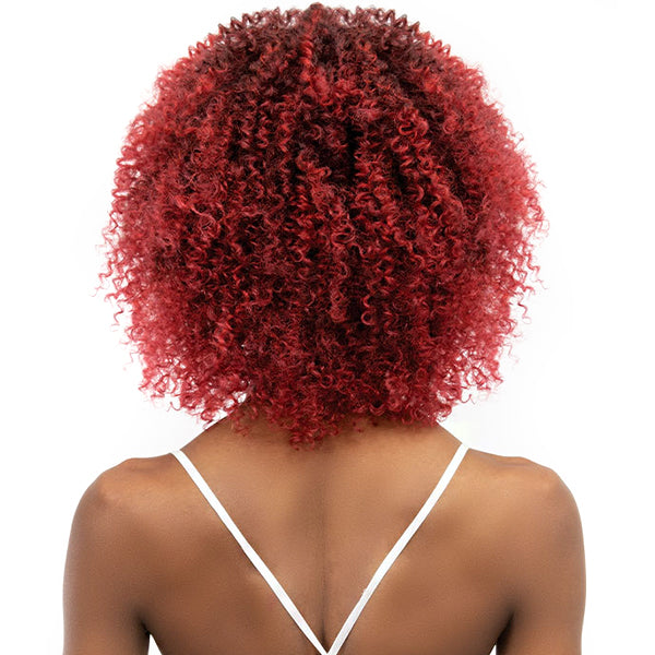 Janet Collection Natural Curly Synthetic Hair Wig - NATURAL AFRO LEON ...