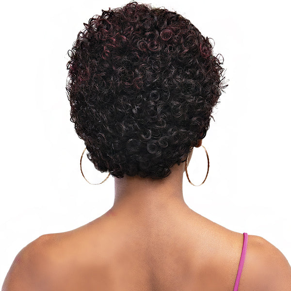Janet Collection Lavish 100% Virgin Human Hair Wig - EMILIA :: WigTypes.com