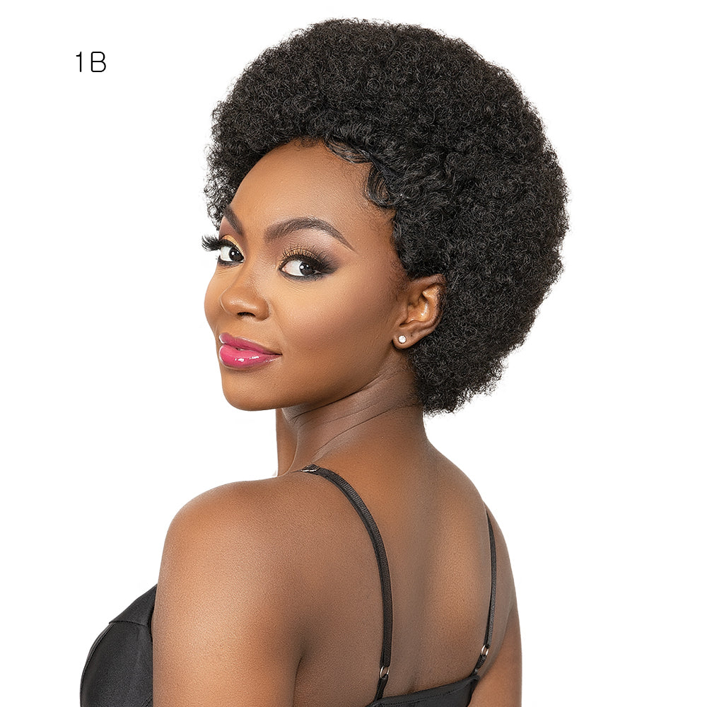 Janet Collection Natural Curly Synthetic Hair Wig - AFRO CADY ...