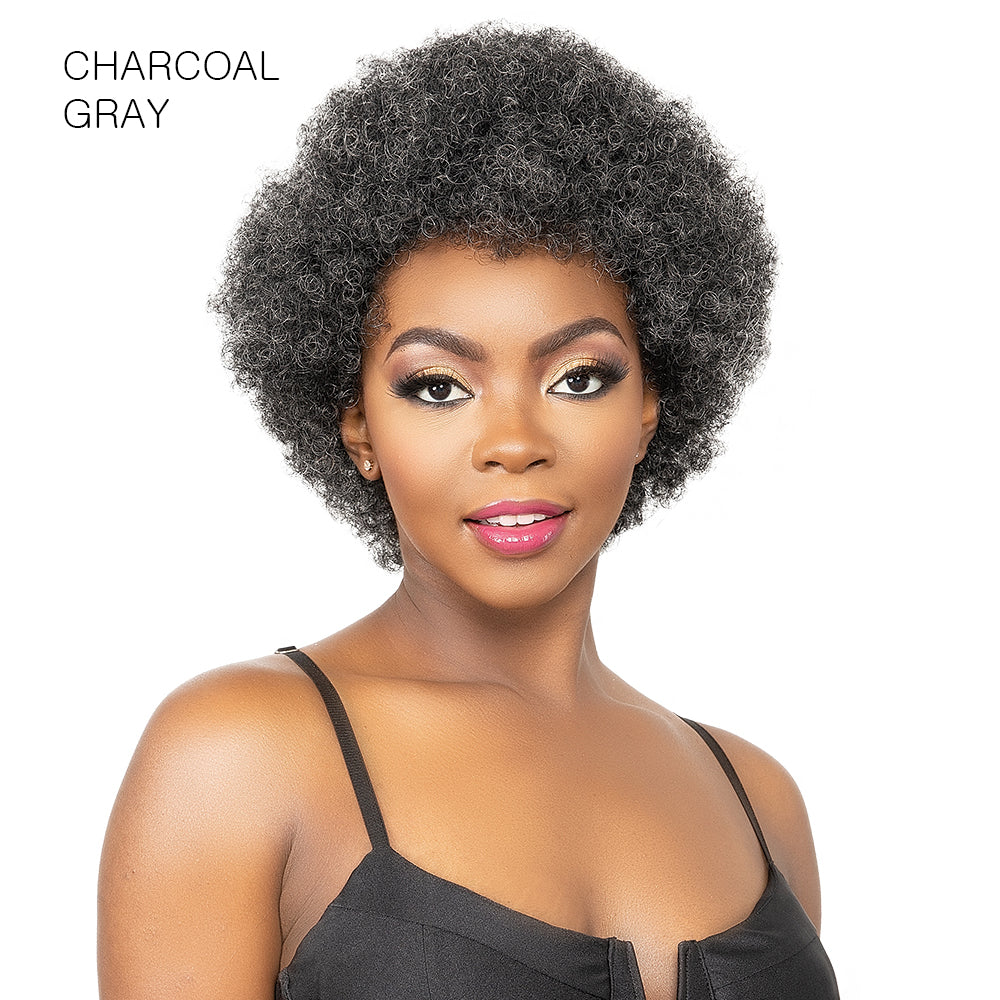 Janet Collection Natural Curly Synthetic Hair Wig - AFRO CADY ...