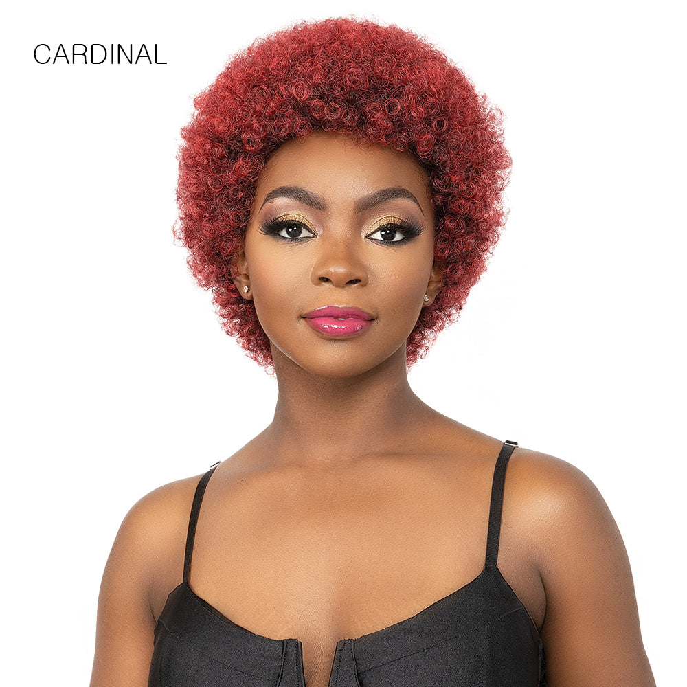 Janet Collection Natural Curly Synthetic Hair Wig - AFRO CADY ...