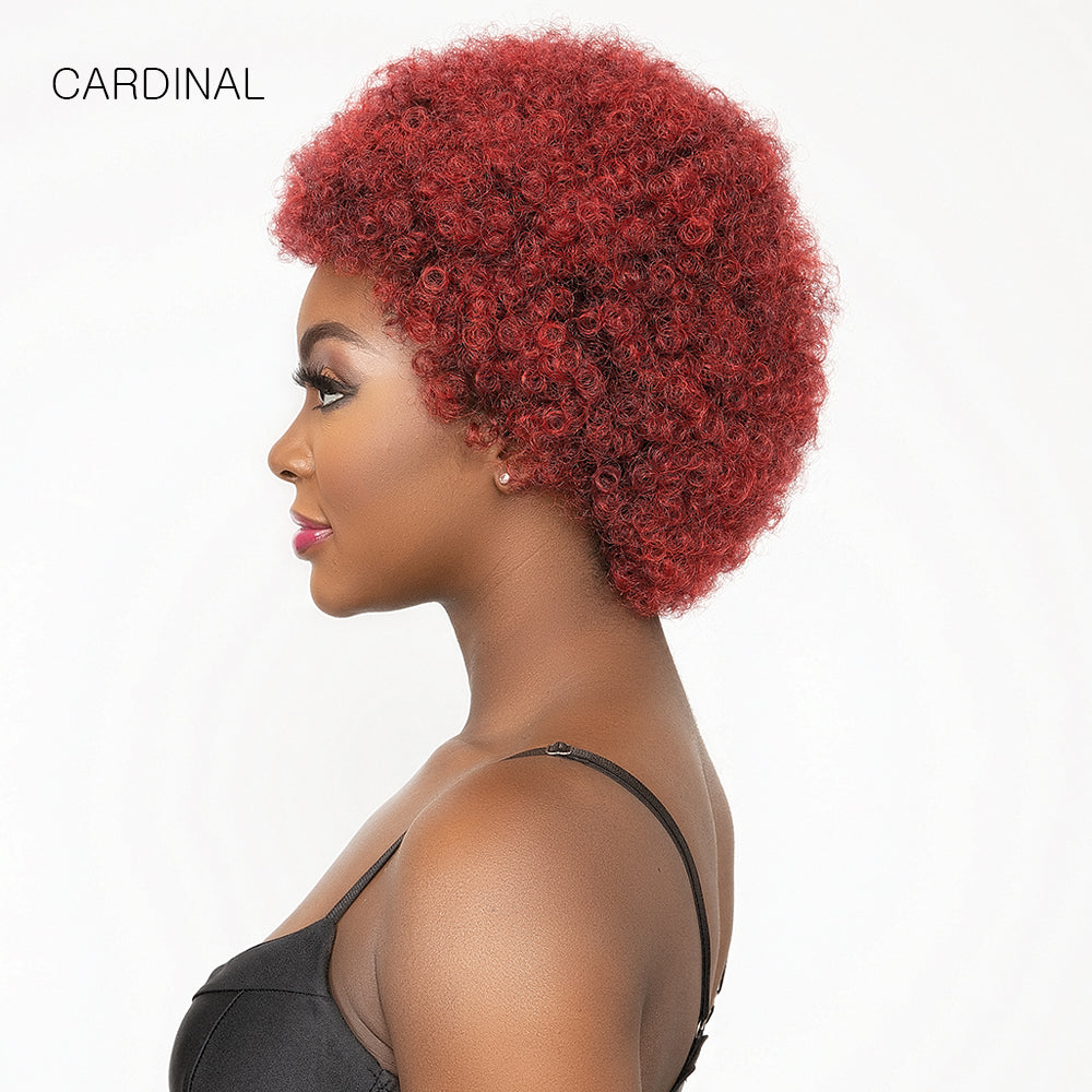 Janet Collection Natural Curly Synthetic Hair Wig - AFRO CADY ...