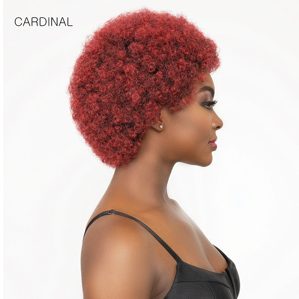 Janet Collection Natural Curly Synthetic Hair Wig - AFRO CADY ...