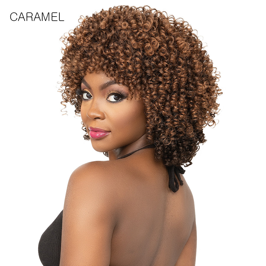 Janet Collection Natural Curly Synthetic Hair Wig - AFRO GLYN ...