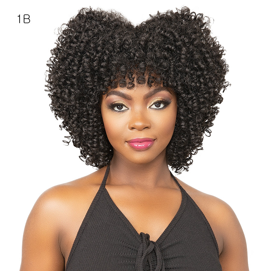 Janet Collection Natural Curly Synthetic Hair Wig - AFRO GLYN ...