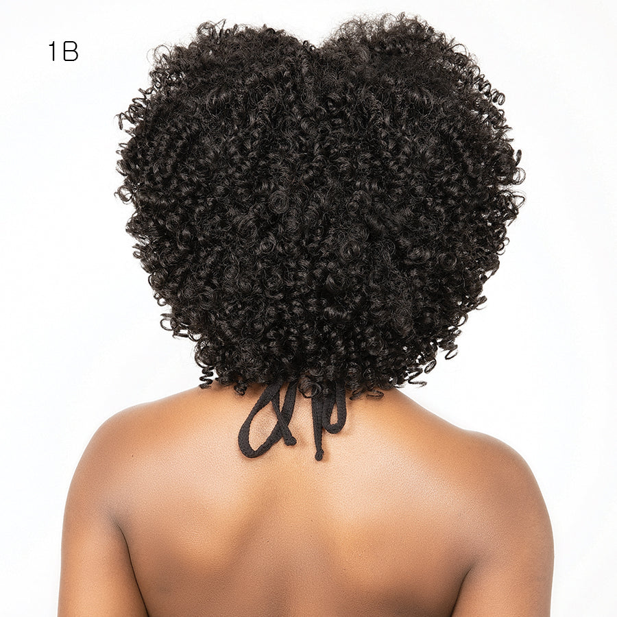 Janet Collection Natural Curly Synthetic Hair Wig - AFRO GLYN ...