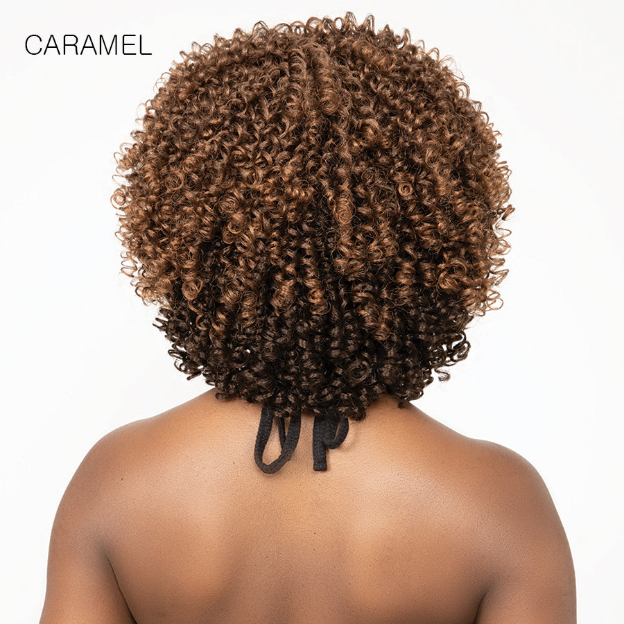 Janet Collection Natural Curly Synthetic Hair Wig - AFRO GLYN ...